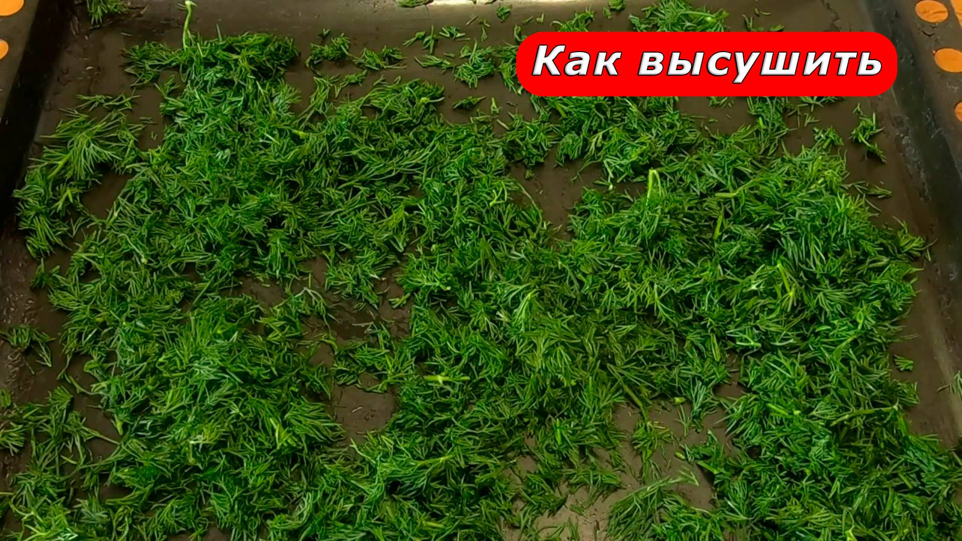 Сушу Укроп Только Так! Простейший Метод Заготовки на Зиму 🌿✨