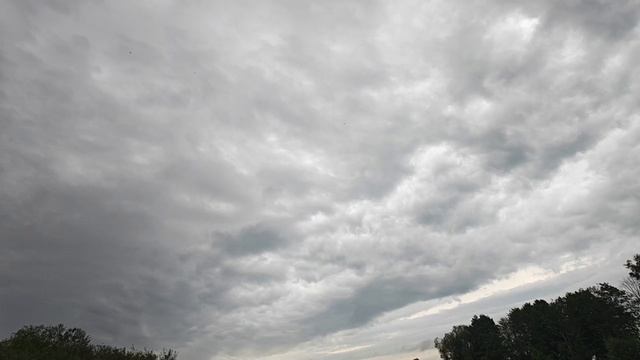 река обмелела. есть опасения что рыбы не будет..лодоч.мот.ФЛЭЙЗЕР 4,0.