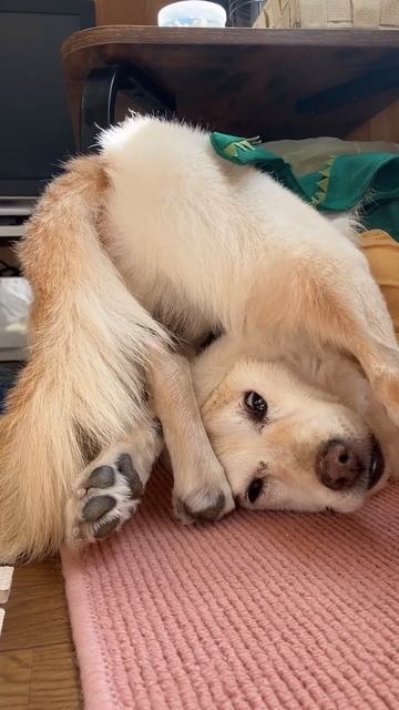 Удобненько