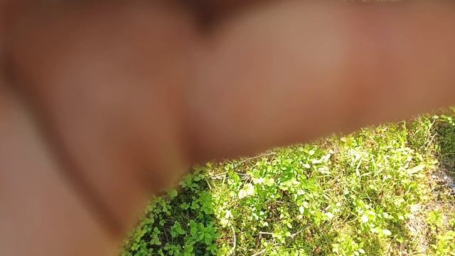 [Tropo] 102.3  h  Kesäseuraradio  (Tammela/Torajärvi)(Finland)(Kanta-Häme)~339 km 120m  0.4 kW (ERP)