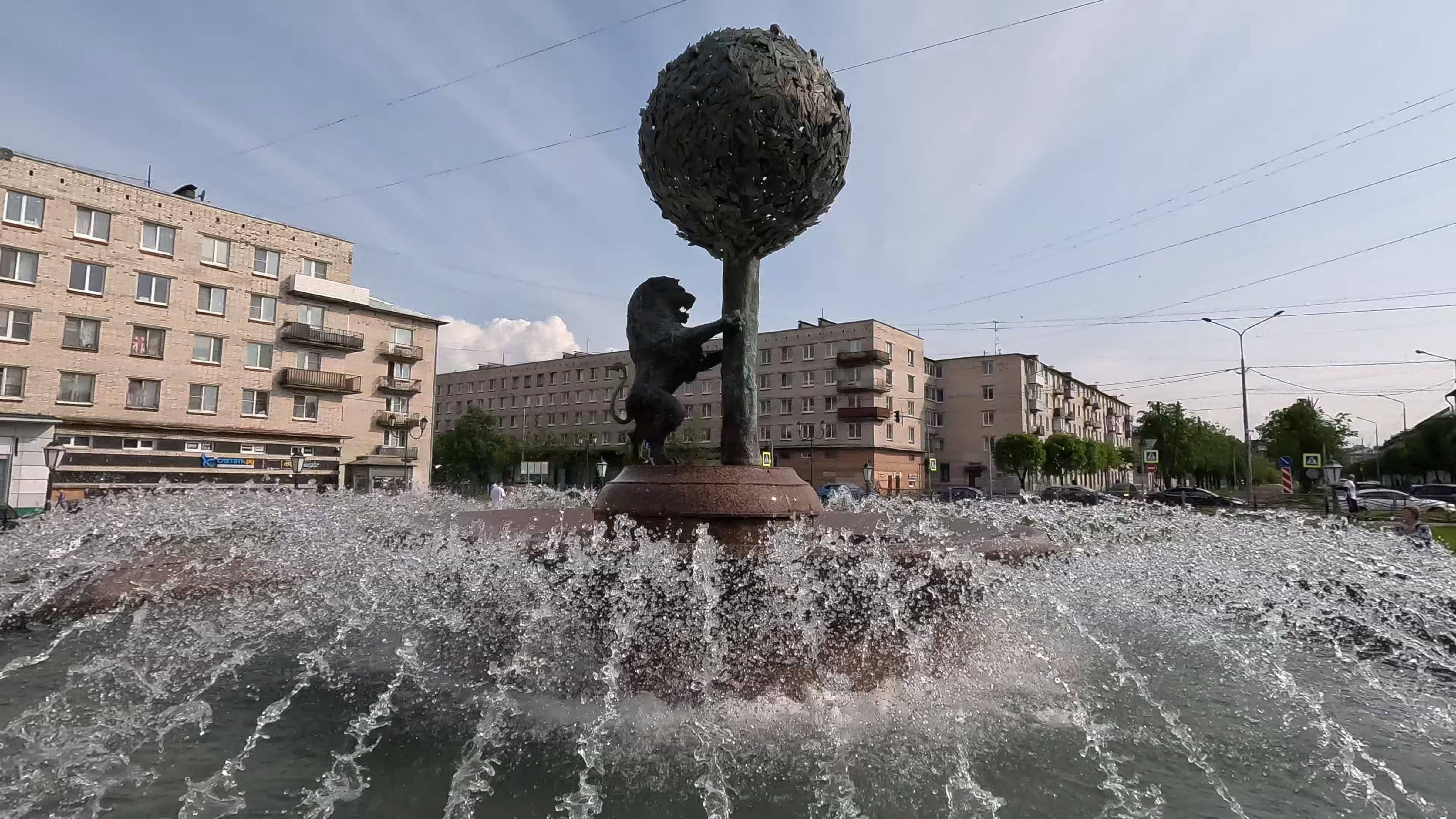 Ораниенбаум. Апельсиновое дерево