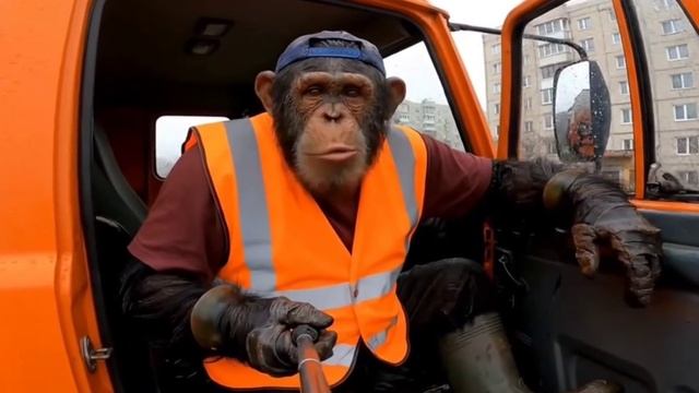 Ассенизаторская работа.