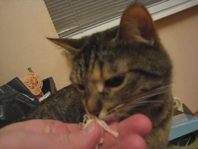 Вкусные кальмары.