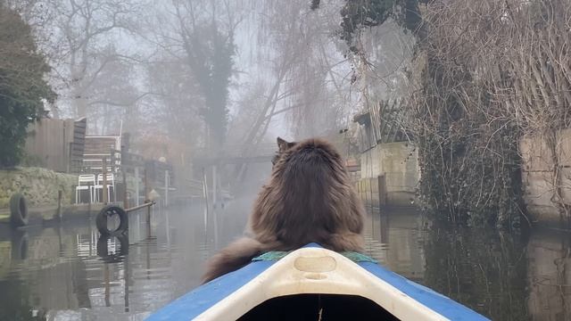 Surprise Fog in March. Louis enjoys his morning kayaking (4 K- High Video quality)