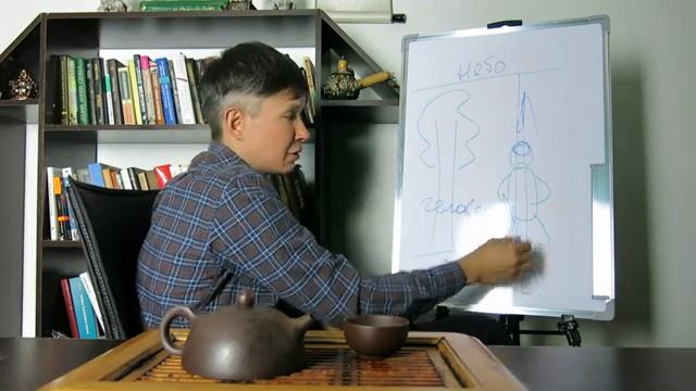 Главная энергетическая практика Цигун Позиция Дерево столб теория