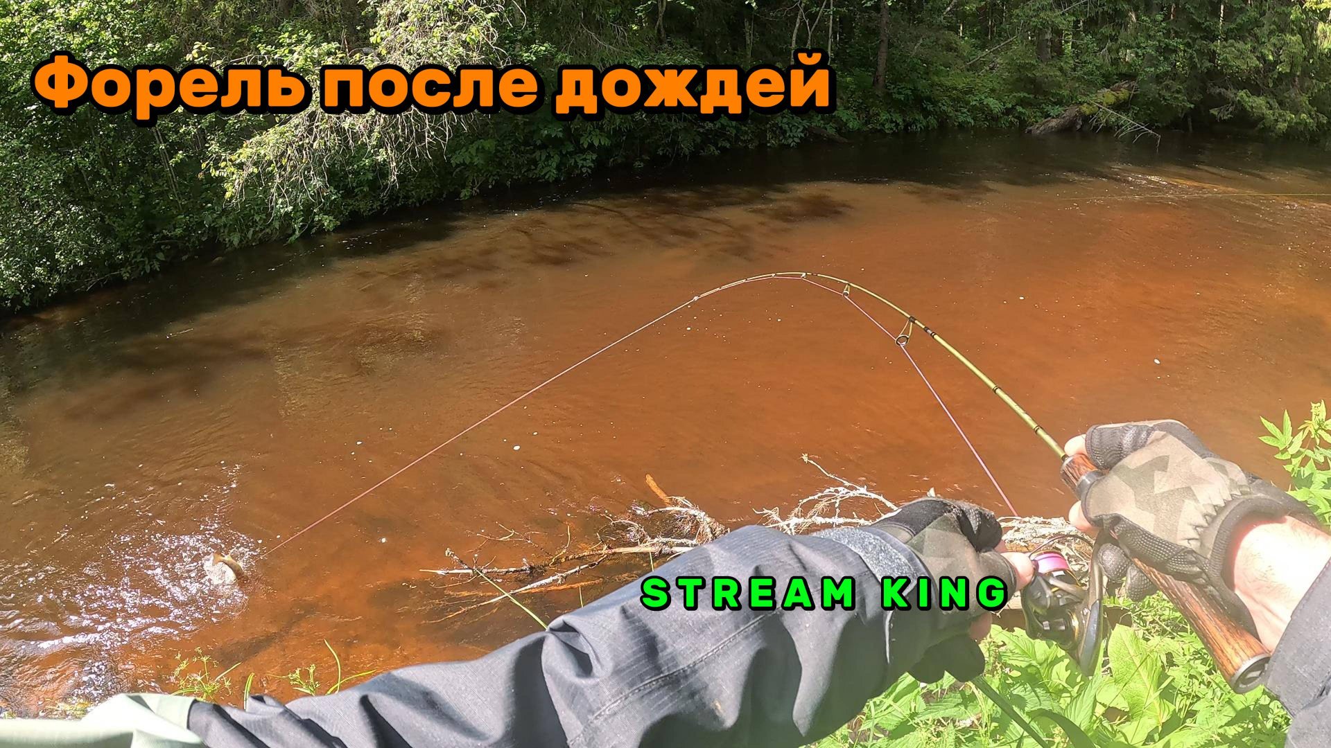 Ловля форели в малой реке после дождей. Спиннинг Stream King