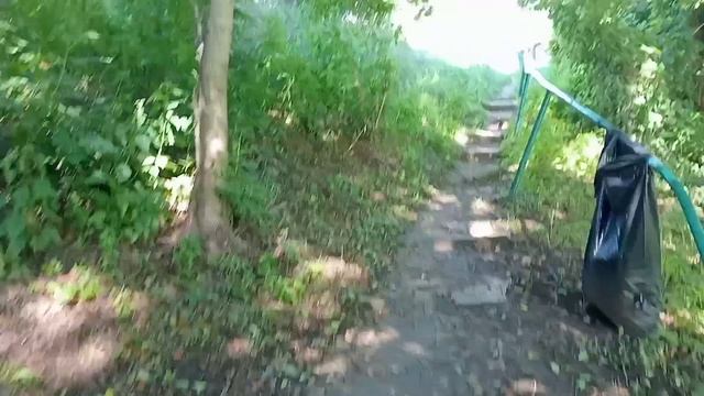 Поездка на родник и в лес за грибами..