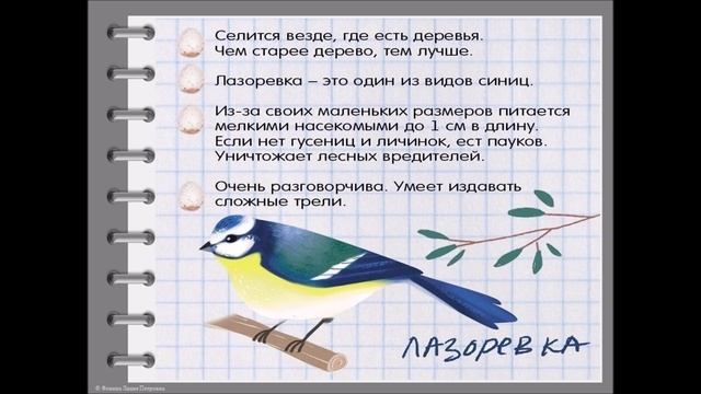 Птицы России