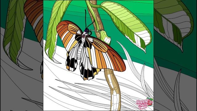 Бабочки 501-511