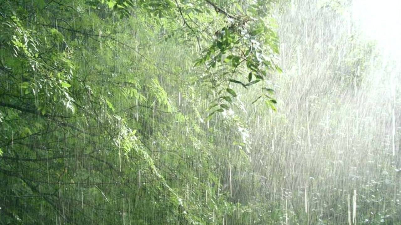 Тета-дождь - легкое засыпание под звуки дождя