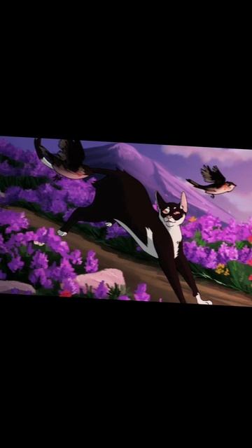 Заказ от Бумажные собачки и т.д.|Эдит Полночи, Звёздному Лучу,Угольку,Чернозвёзду,Серебрянке,