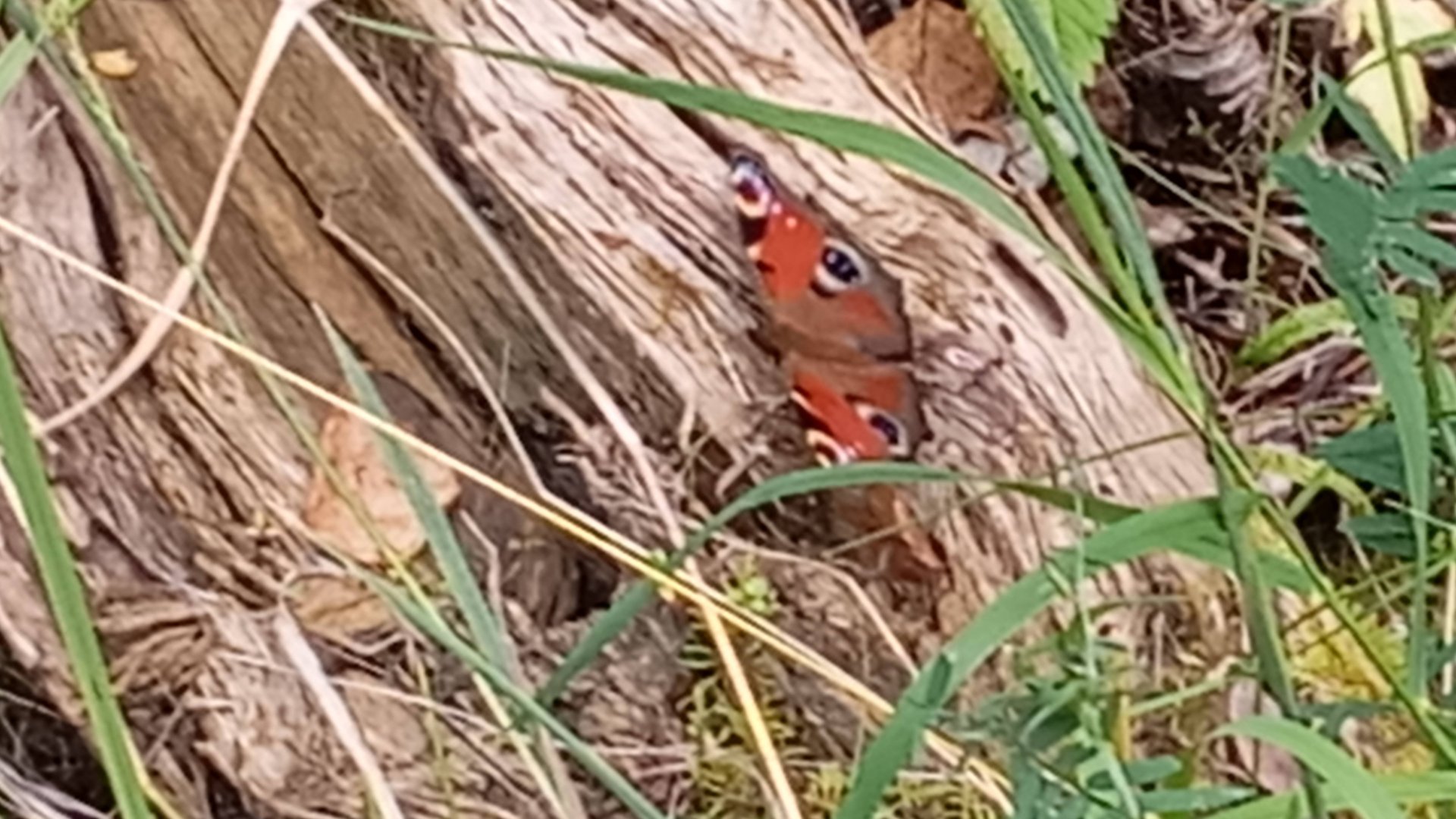 В гостях у природы❤️❤️❤️