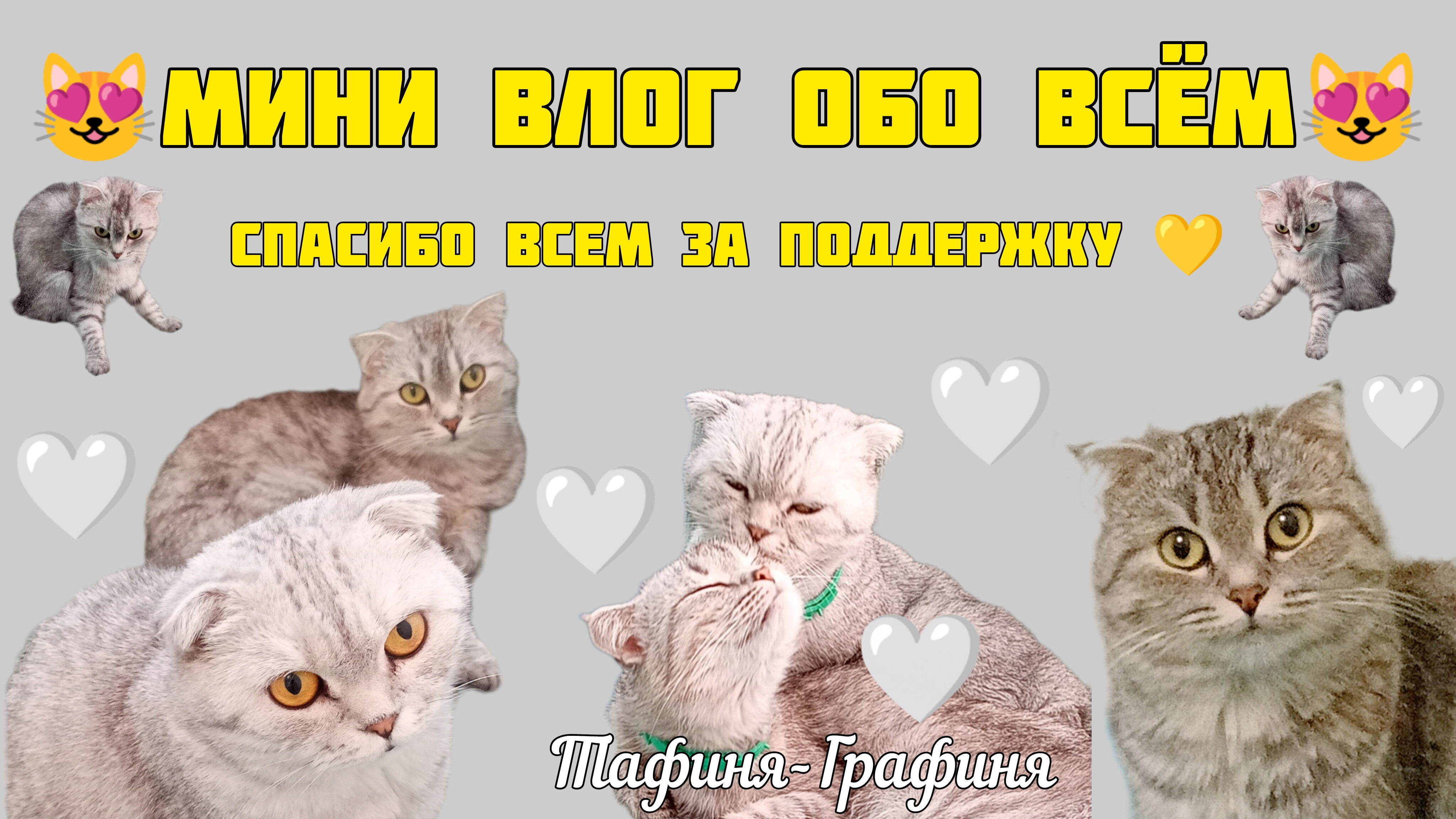 😻Все обо всём 😻И всего по чуть-чуть😉#сезонконтентаRUTUBE