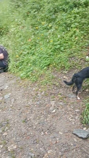 Горный Алтай. Родник. С.Аскат. https://t.me/mir_glazami_idushego