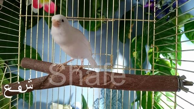 Когда идет дождь