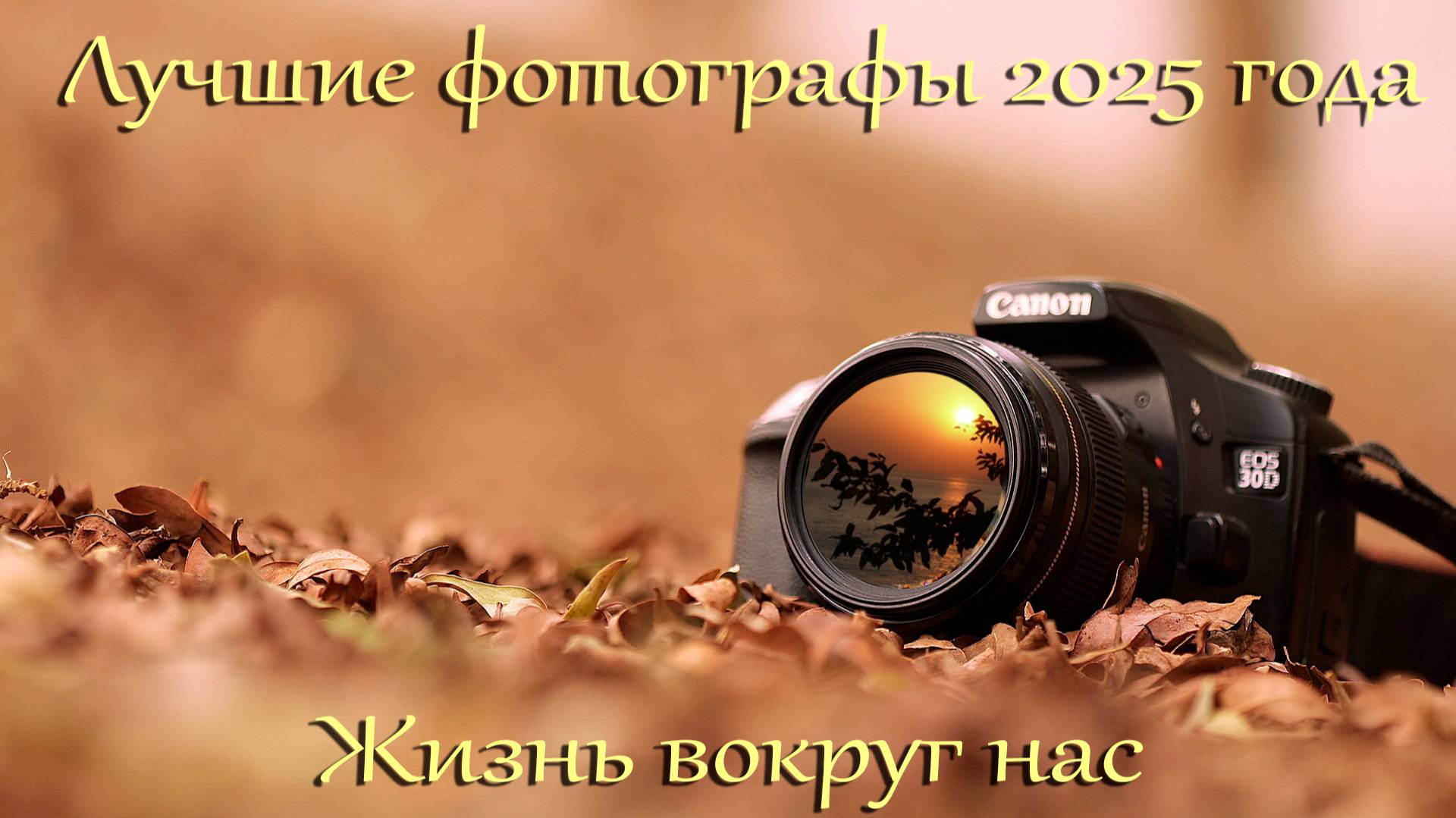 Лучшие фотографы 2025 года