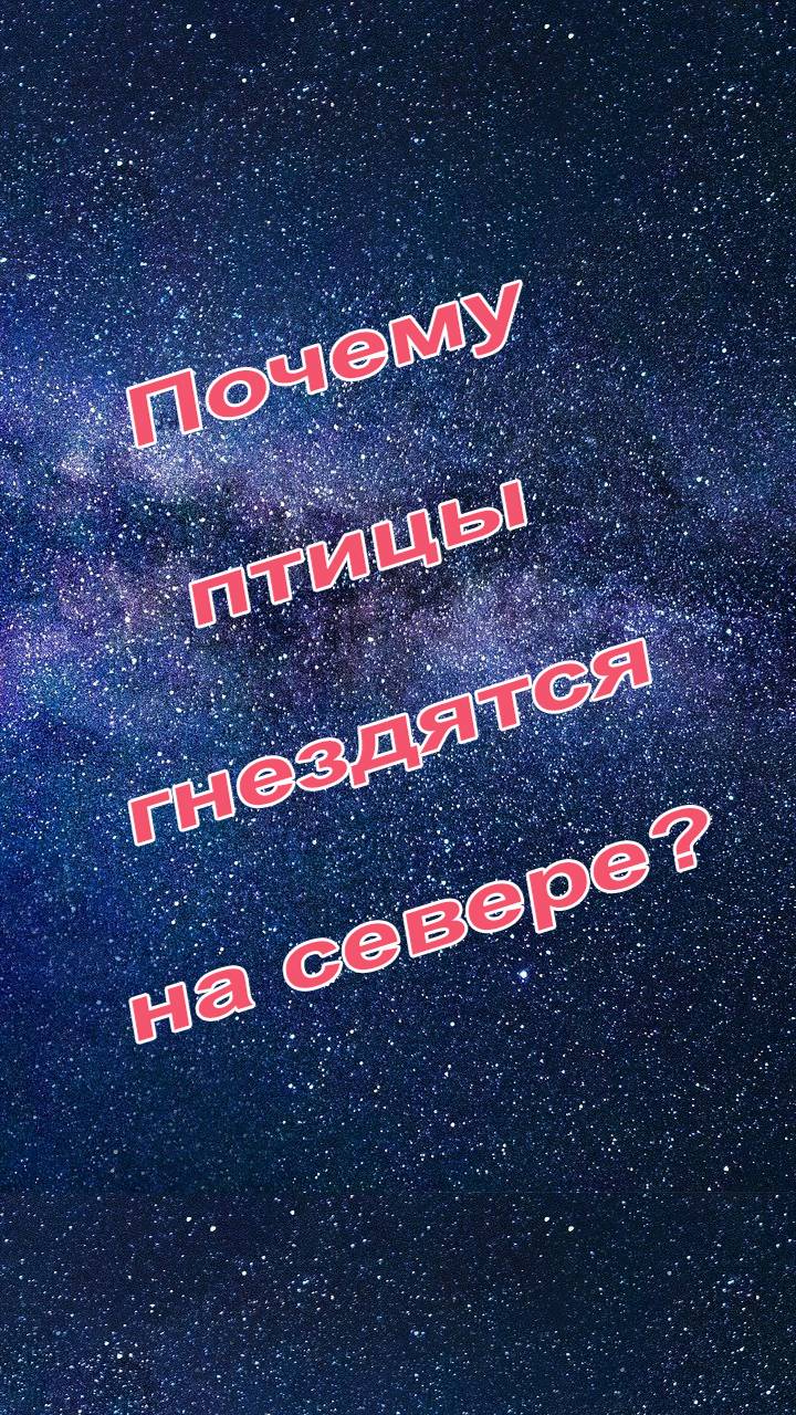 Почему птицы решили гнездиться на севере?