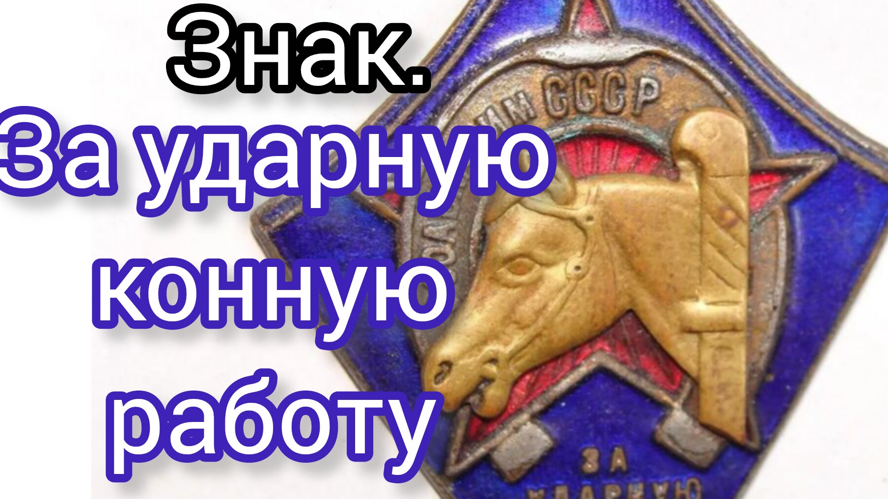 Знаки СССР .За ударную конную работу..
