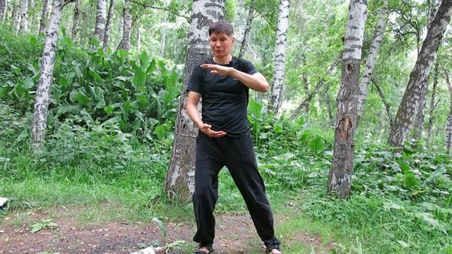 Как развить чувствительность к энергии Заключительная практика второй ступени - шар Ци Практика