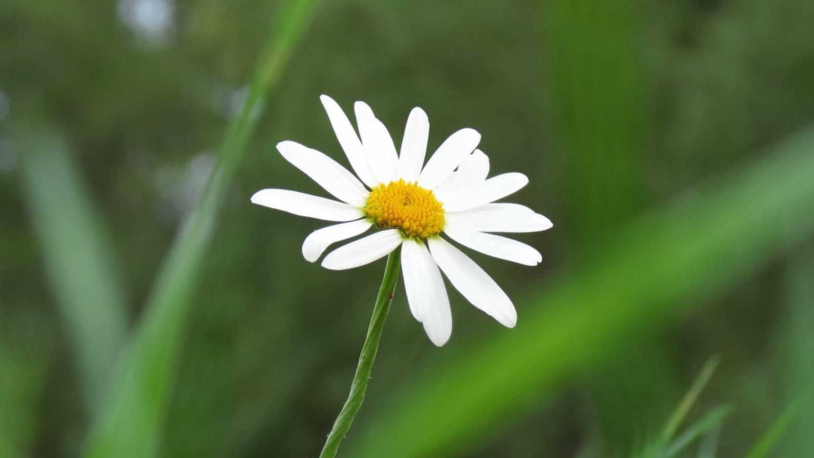 Leonid_Tugutov_-Кто друг.Падение