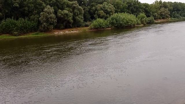 Видео на Днестр с эстакады 22.07.24