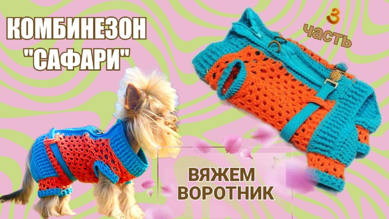 Комбинезон «Сафари» 🧶🐾 | Часть 3 — Вяжем воротник крючком: красиво и удобно!
