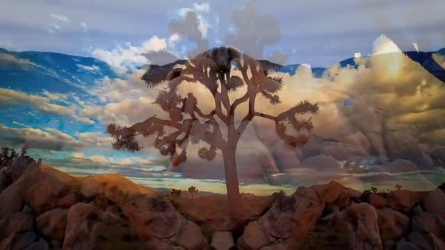 Desert Dwellers - Museum of Consciousness Tour