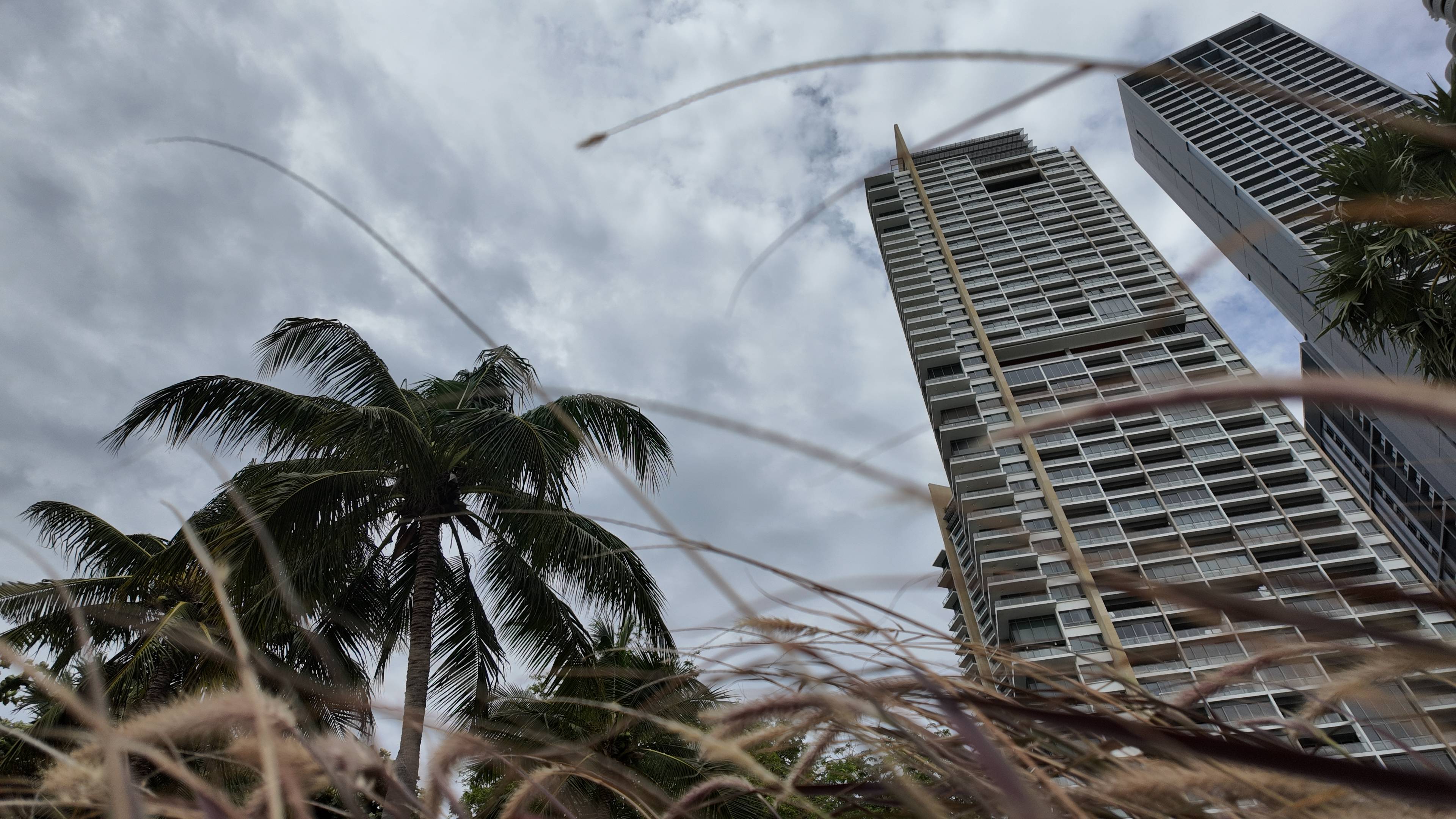 Подари мне лето