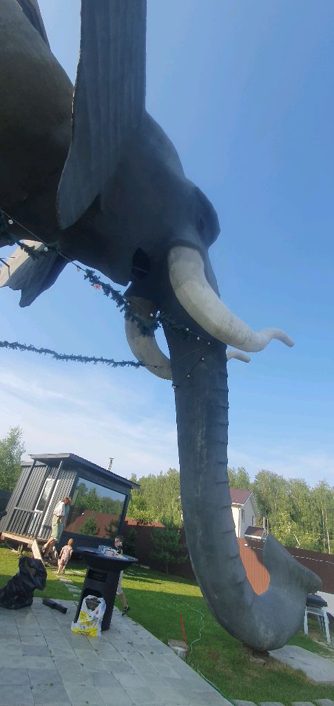 Стром из ДОМА-СЛОНА