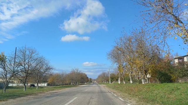 Дорога из Ташлыка в Григориополь 2024