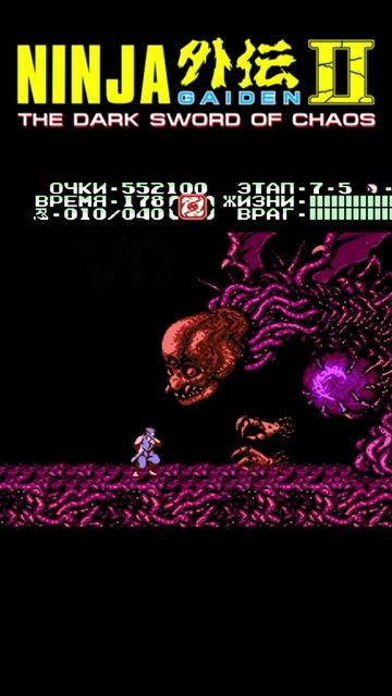 Boss Demon😈!  Ninja Gaiden II No Damage