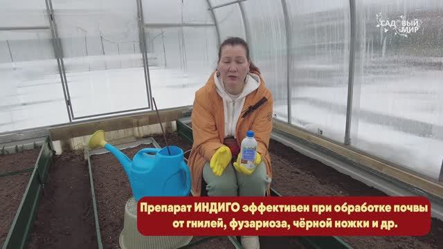 Весенняя профилактическая обработка земли от болезней перед высадкой рассады