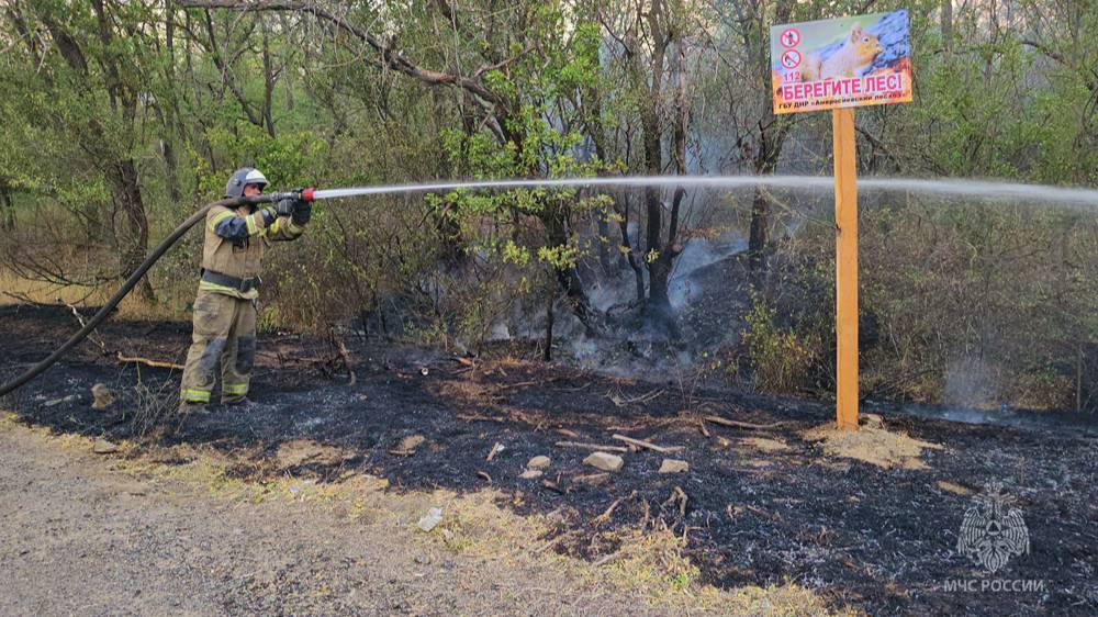 За неделю в ДНР произошло 440 ландшафтных пожаров