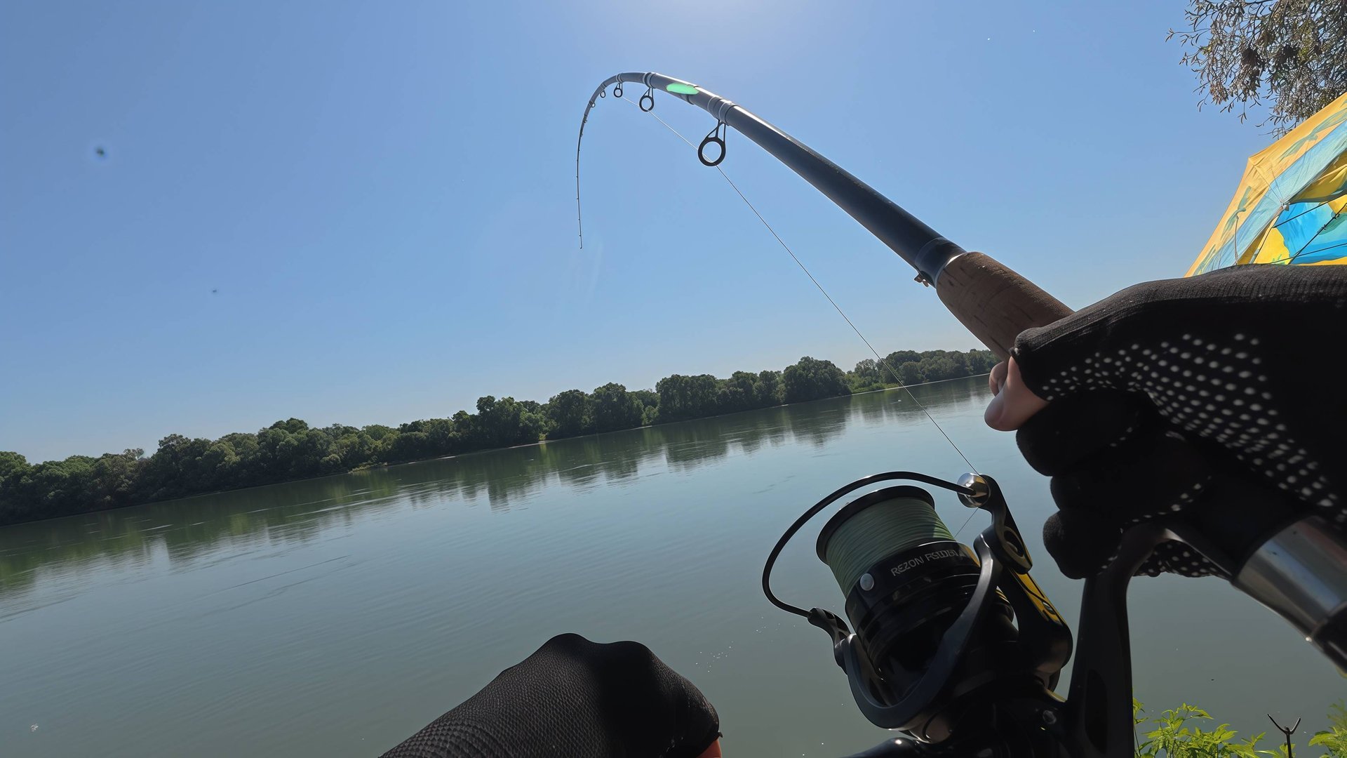 Летняя фидерная рыбалка на сильном течении! Река Кубань!