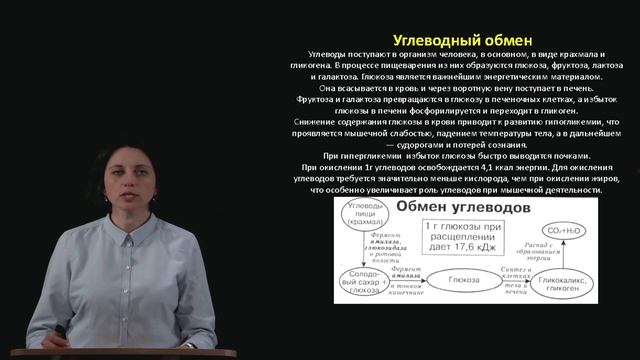 Лекция 1.2. Основные процессы обмена веществ в организме