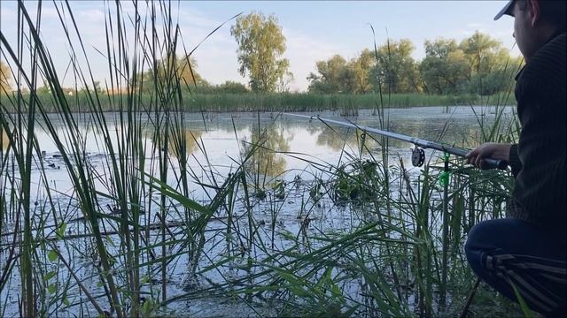 рыбалка в июле! жара, комары,пиявки и рыба!
