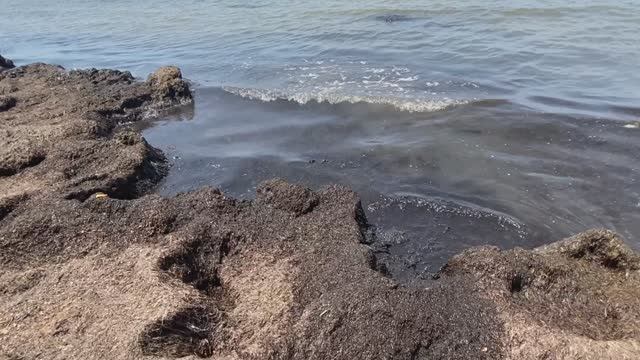 Не курортный - курорт | Чёрное море | Есть ли мазут ? | заброшенный курорт