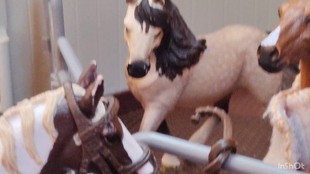 4 часть сериала "Секрет новенького" 🫶🐎🧐🤨