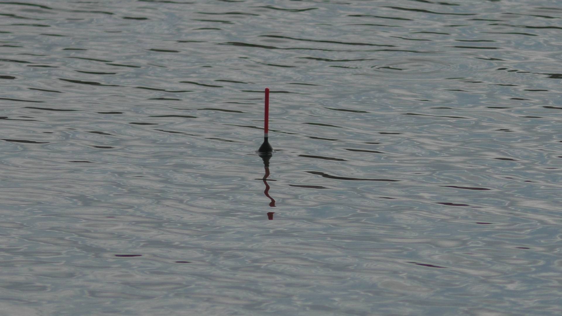 Закинул поплавок на меляк и карась потащил удочку. Рыбалка