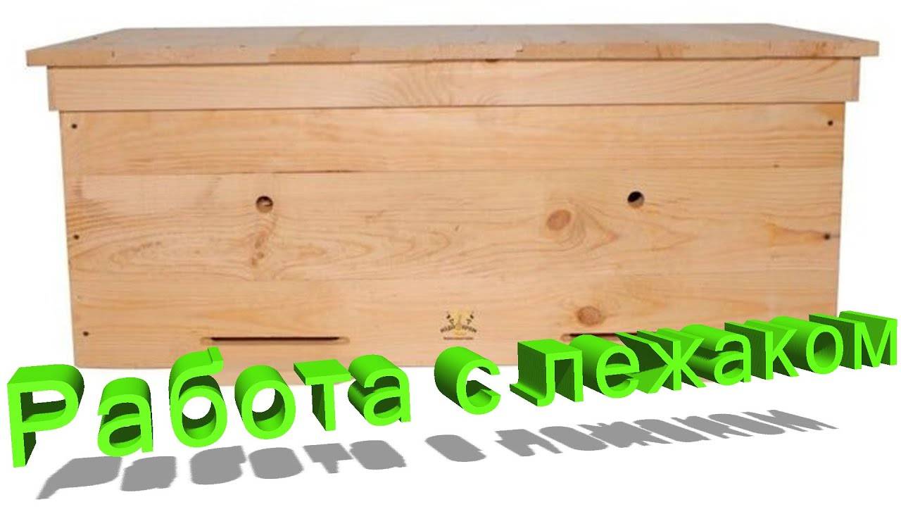 Как правильно работать с ульем-лежаком? Эксклюзивные советы Кашковского