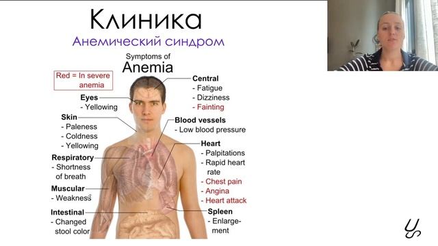 Педиатрия _ Гематология_ Мегалобластные анемии