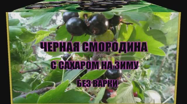 Чёрная смородина с сахаром без варки. Заготовки на зиму.