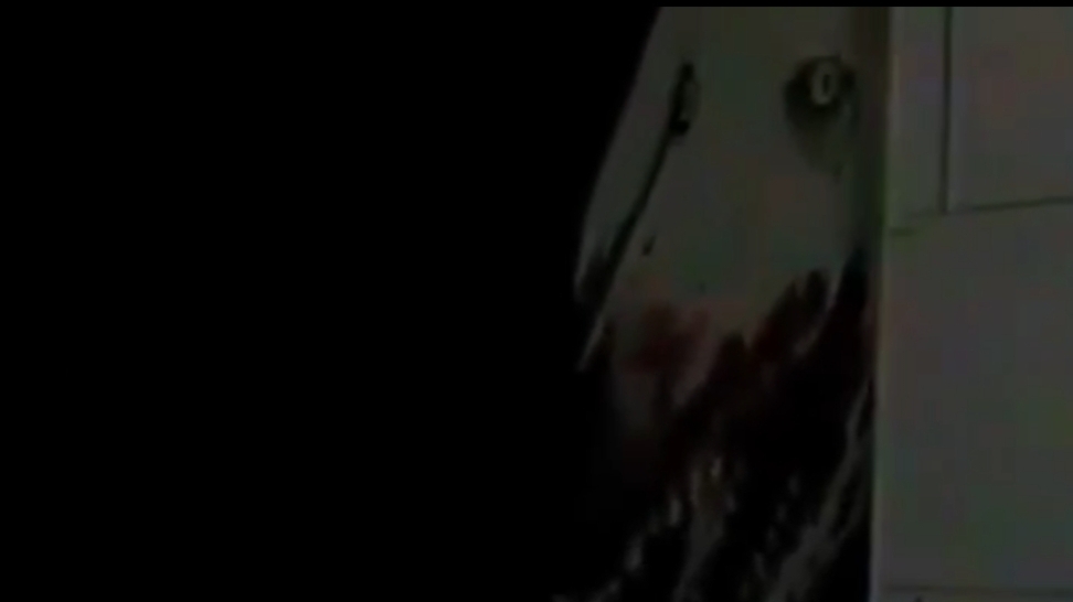 Эксперимент 0002 "Dexter" Edit