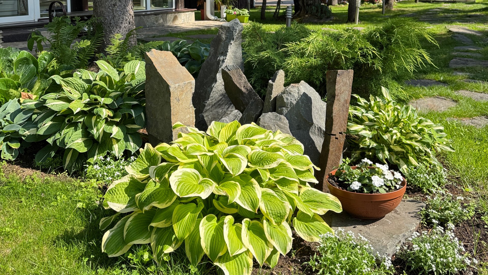 Прогулка по огороду 12 июля. Клубника, огурцы, сладкий перец, помидоры