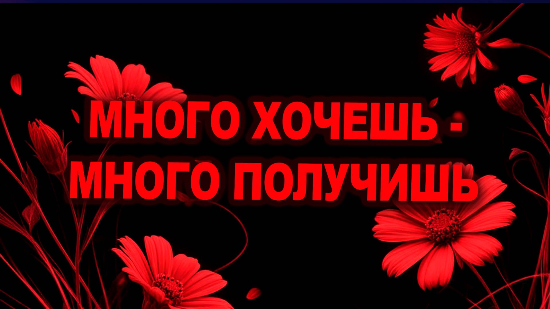 Я 10 лет хоронила свои желания. Вот как я откапываю их сейчас