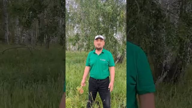 Рәмил Туйсин - Ғүмер