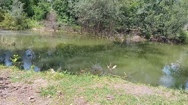 Отличные выходные!