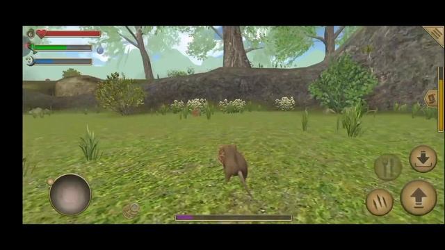 🐭СИМУЛЯТОР МЫШИ:)🐭 |Симулятор Мыши : Лес и Дом|#1