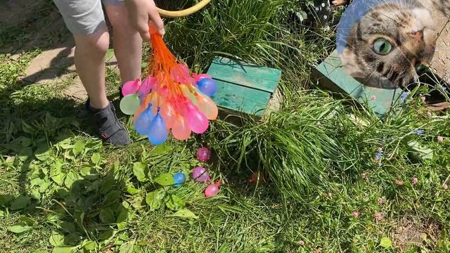 4 летних антистресса от кота Андрея!