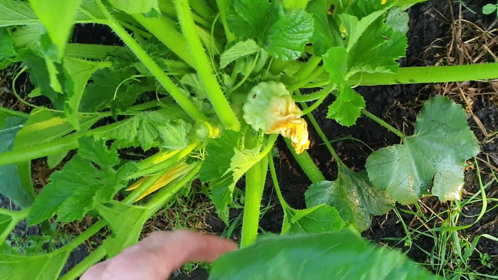 Это кто тут завалился!?